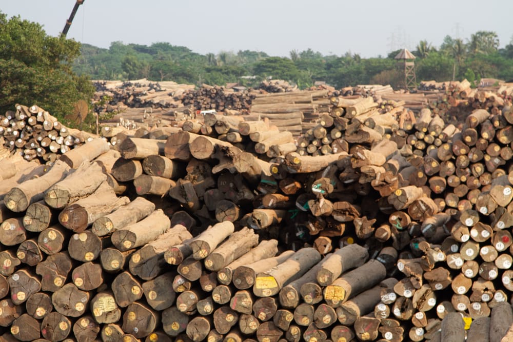 Current appeal: Protecting Myanmar’s forests - EIA