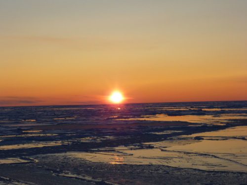 Why we should consider every day to be World Oceans Day - EIA