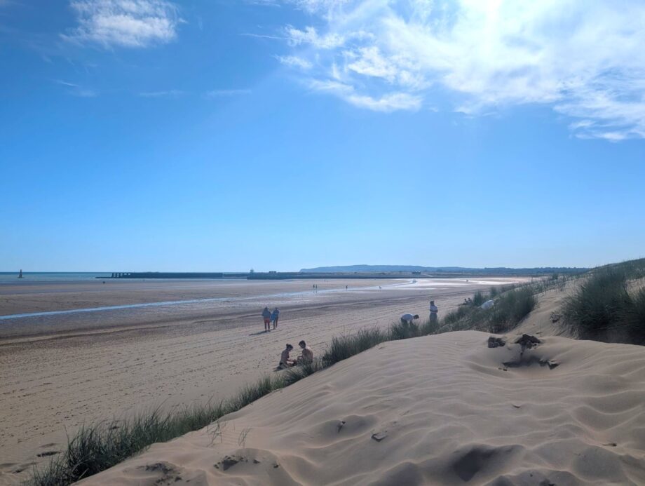Camber Sands biobead spill exposes urgent need for binding UK plastic ...
