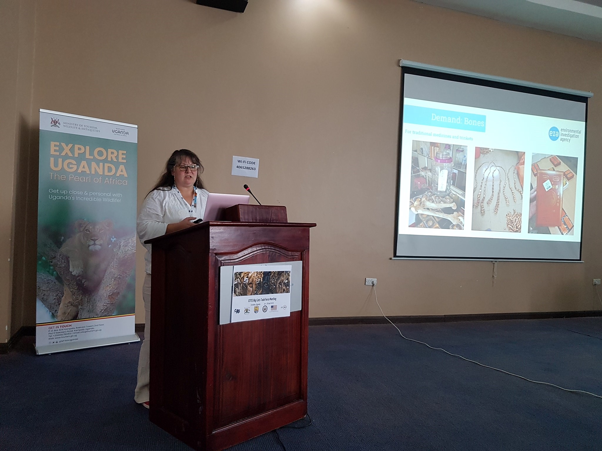 On International Tiger Day, we’re letting Catbyte out of the bag to ...