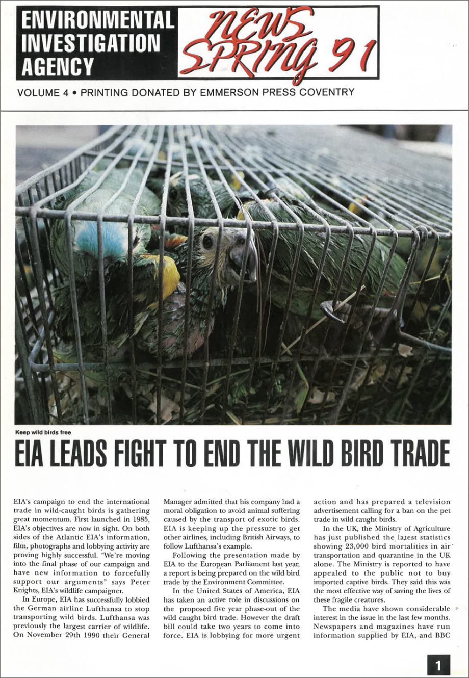 EIA at 40 – leading the fight to end the wild bird trade - EIA
