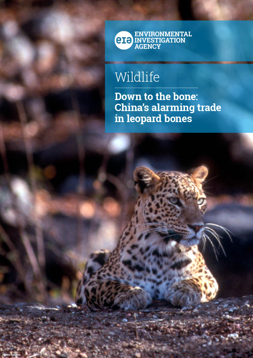 Down to the bone: China’s alarming trade in leopard bones - EIA