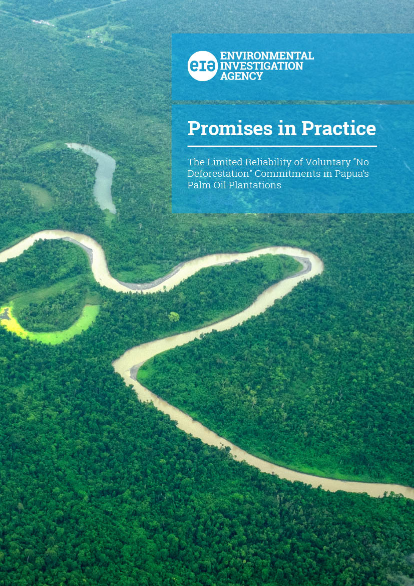 Promises in Practice - EIA
