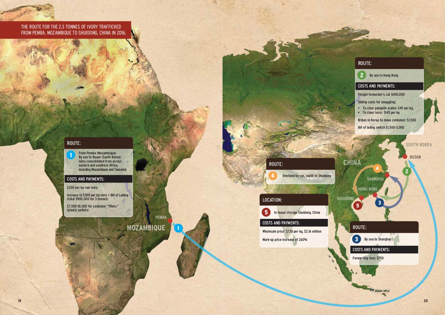 Combating money laundering and the illegal wildlife trade - EIA