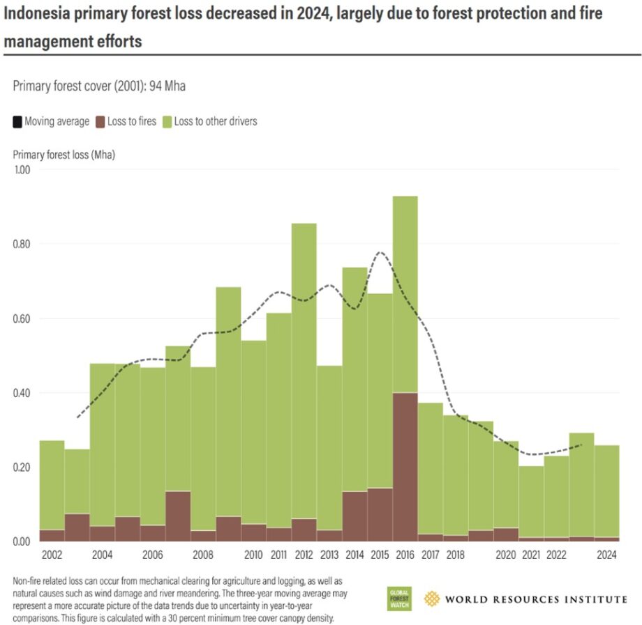 Is Indonesia’s drive for self-sufficiency in food and biofuels coming at the cost of its ...