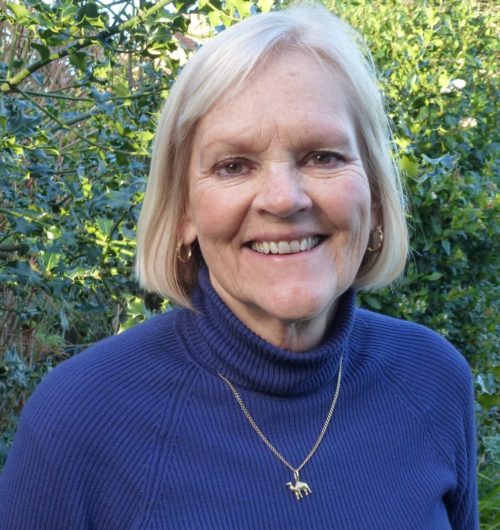 Pioneering activist receives OBE in New Year Honours - EIA