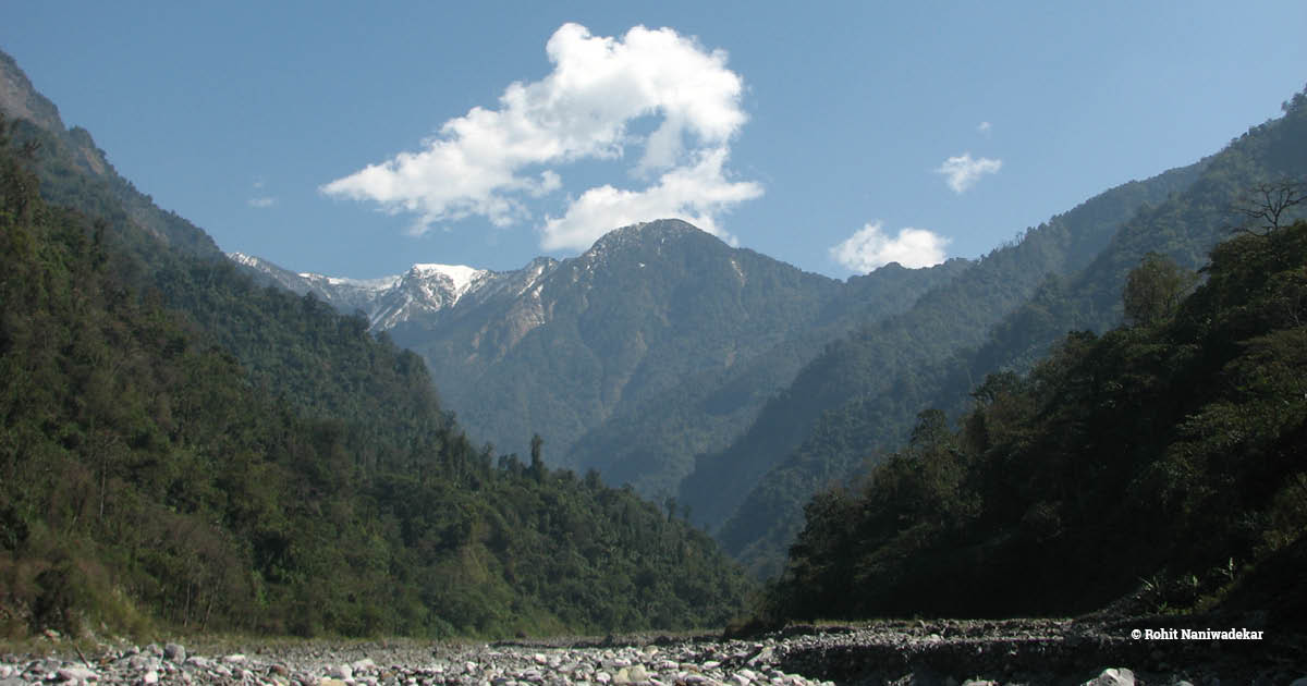 An Indian conservation success built on a unique, ancestral ...
