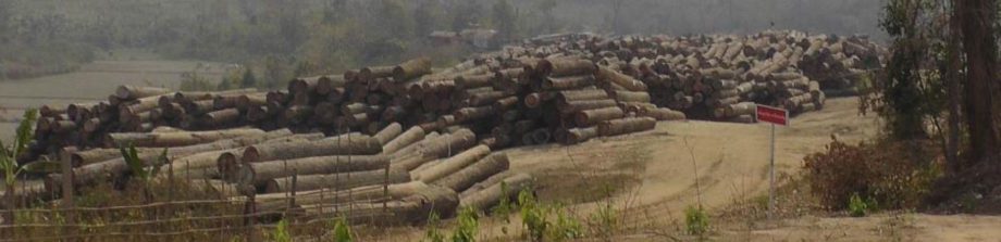 US timber traders help support Myanmar’s brutal junta by skirting laws ...