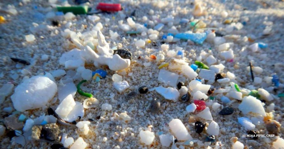 How to end ocean plastic pollution - EIA