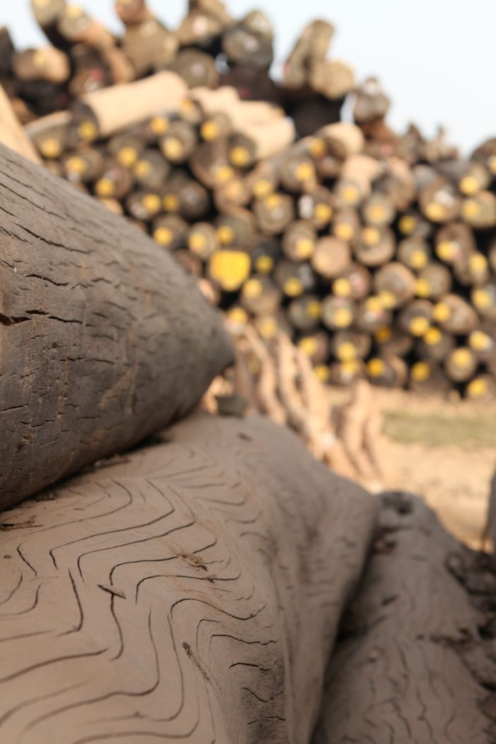 Murky timber deal raises doubts over Myanmar’s commitment to forestry ...