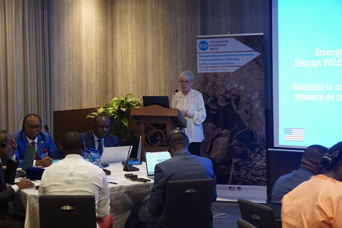 Developing effective new partnerships to give a brighter future to wildlife under threat in ...