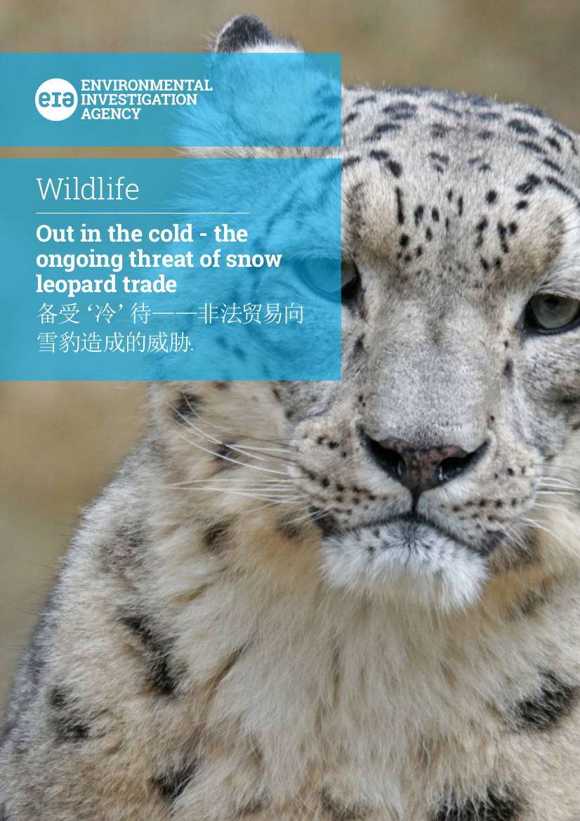 Out in the cold - The ongoing threat of snow leopard trade – EIA ...
