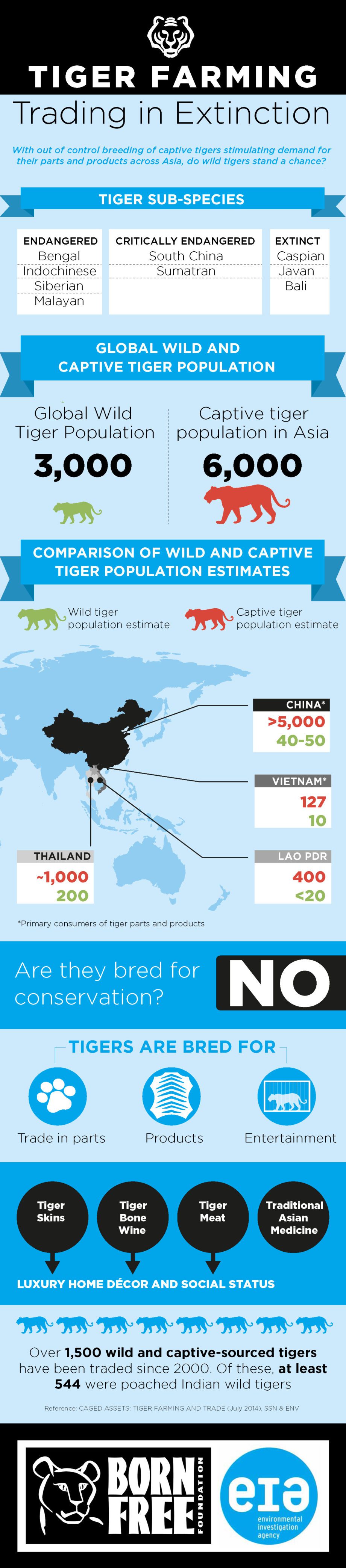 Act to help end tiger farms on International Tiger Day - EIA