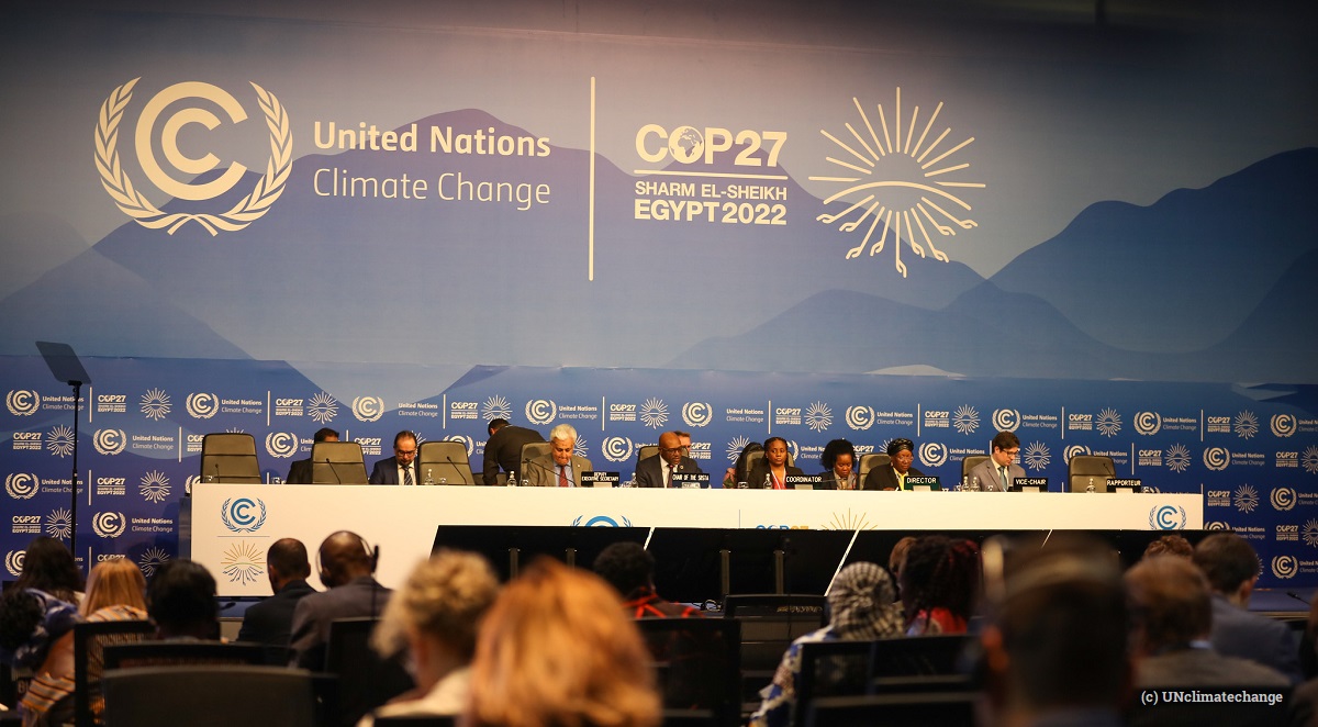 EIA is in Egypt for the big CoP27 UN climate summit – and it’s time to ...