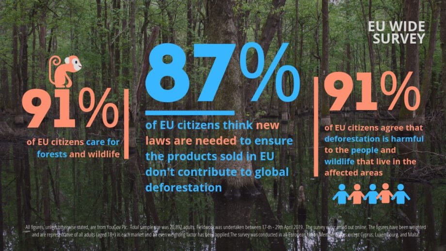 Poll shows EU citizens overwhelmingly want new laws to halt deforestation - EIA