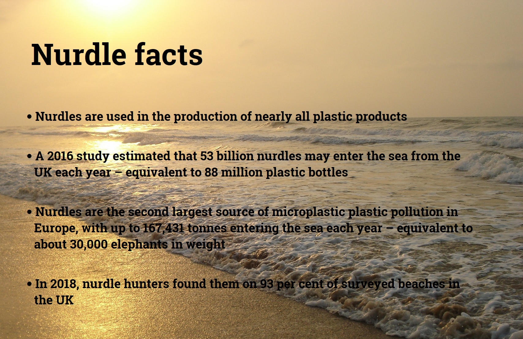 The Great Global Nurdle Hunt – what it is, why it’s important and how ...