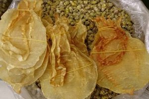 Illegal fish bladder trade could sound the death knell for the last 10 ...